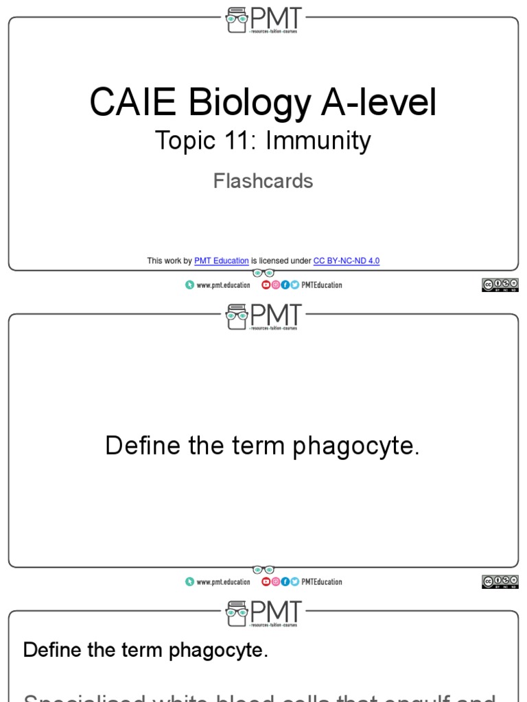 A-Level Immunity Flashcards Guide | PDF | Immune System | Lymphocyte