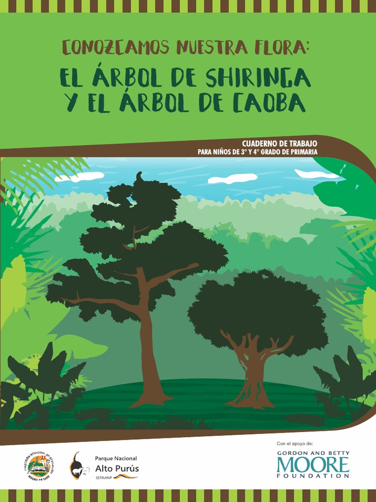 El Arbol de La Shiringa | PDF | Arboles | Agricultura
