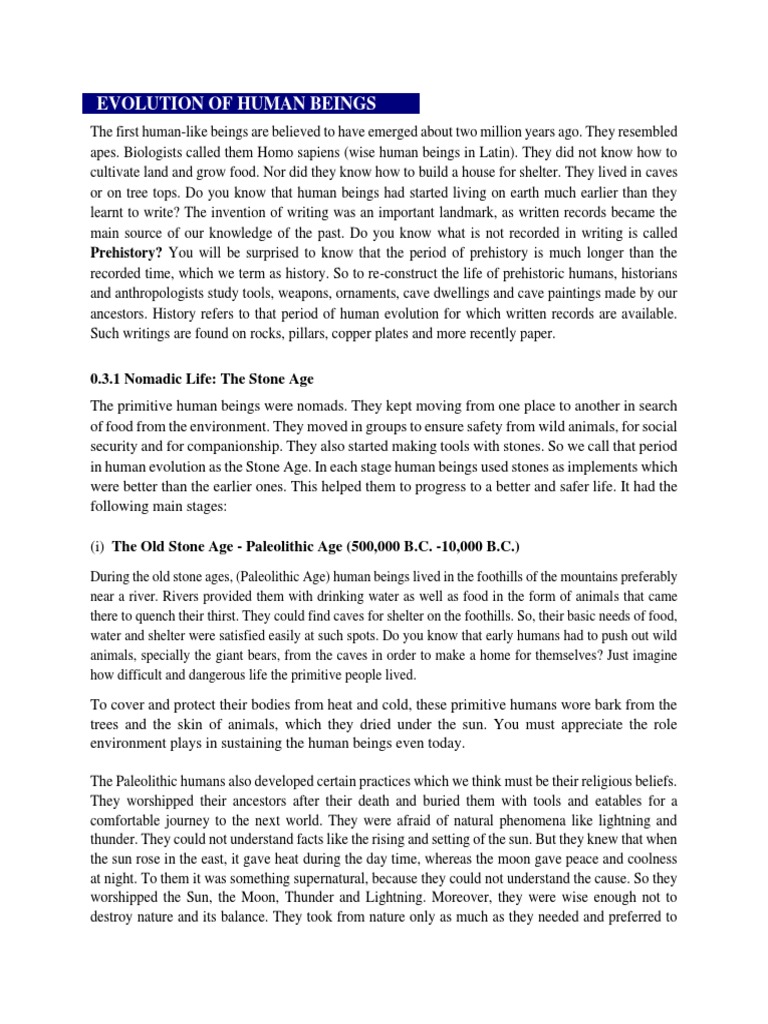 Stone Age: Evolution of Early Humans | PDF | Stone Age | Paleolithic