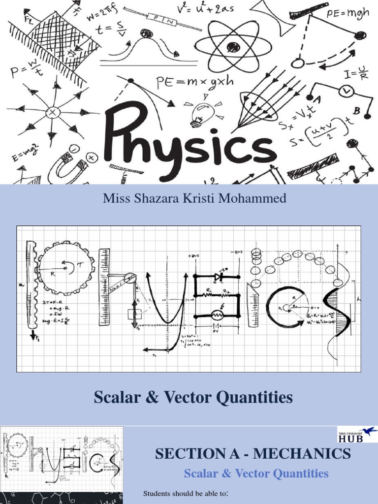 Scalar & Vector Quantities | Download Free PDF | Force | Euclidean Vector
