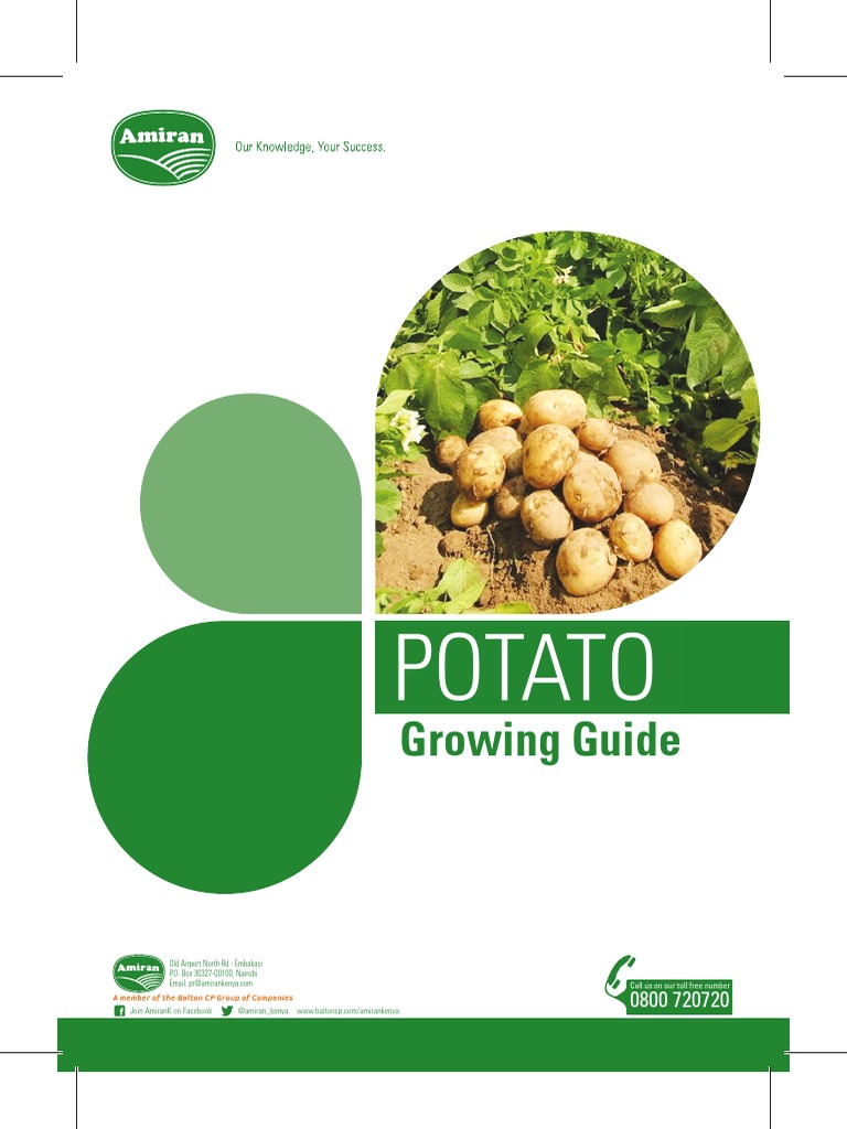 Potato Farming and Production Guide | PDF | Soil | Tillage
