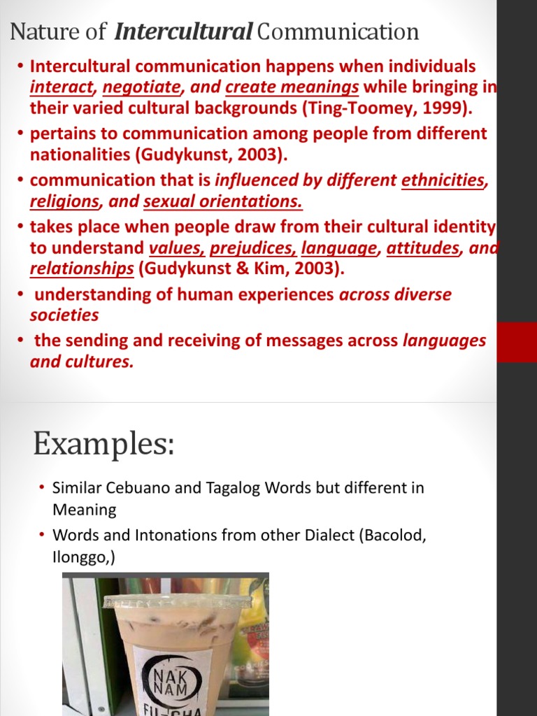Understanding Intercultural Communication Across Diverse Contexts and ...
