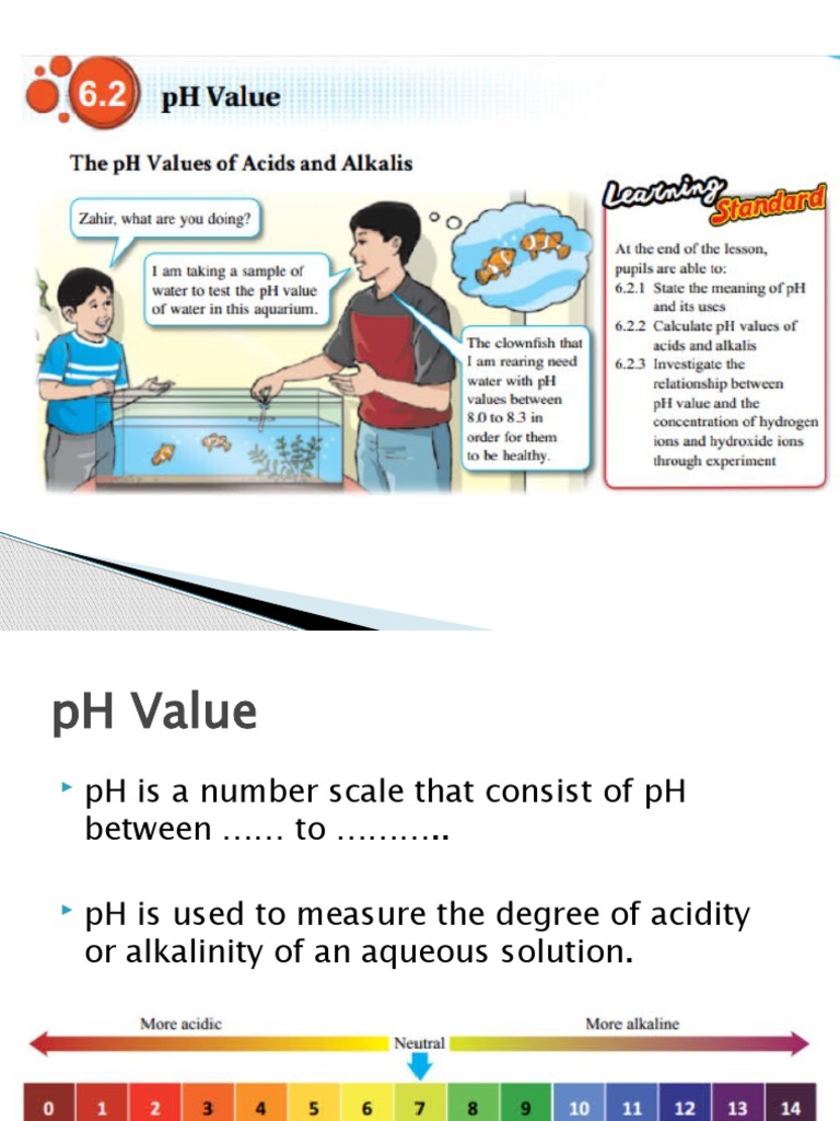 Understanding pH and Molarity | PDF