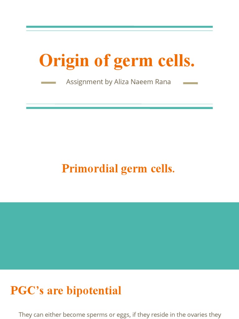 Origin and Role of Primordial Germ Cells | PDF | Anatomy | Cells