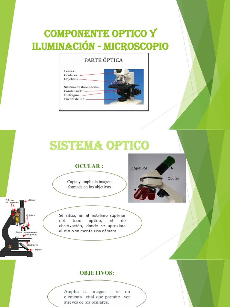 Componente Optico y Iluminación - Microscopio | PDF
