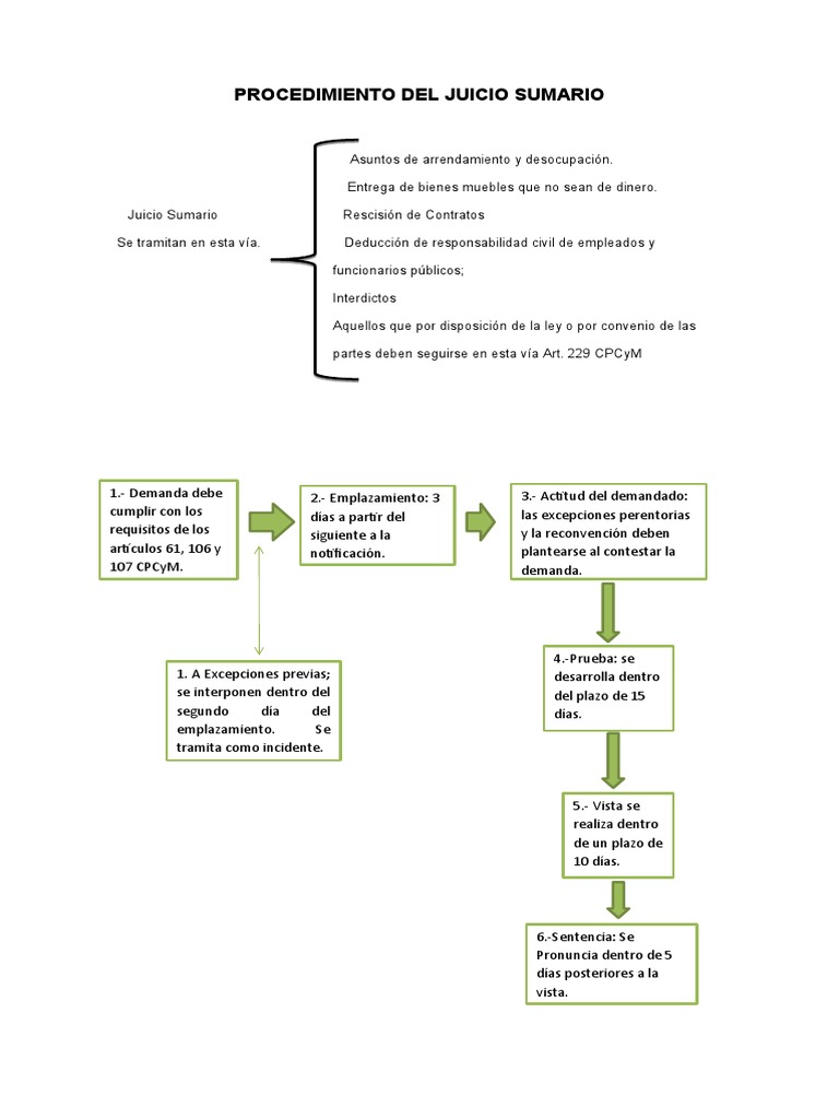Procedimiento Del Juicio Sumario | PDF