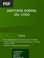 Proyecciones de Codo | PDF | Codo | Mano