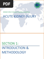 KDIGO AKI AKD Guideline Scope of Work 2023 Final | PDF | Diseases And ...
