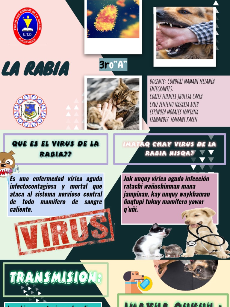 La Rabia | PDF | Rabia | Salud pública