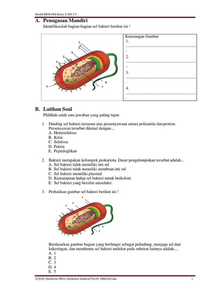 Bab 4 - Latihan Soal Bakteri | PDF