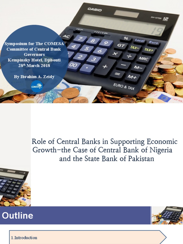Role of Central Banks | PDF | Central Banks | Banks