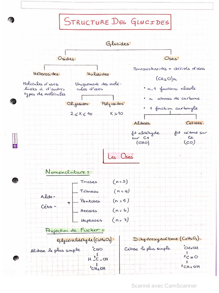 GLUCIDES Structures Et Métabolisme | PDF