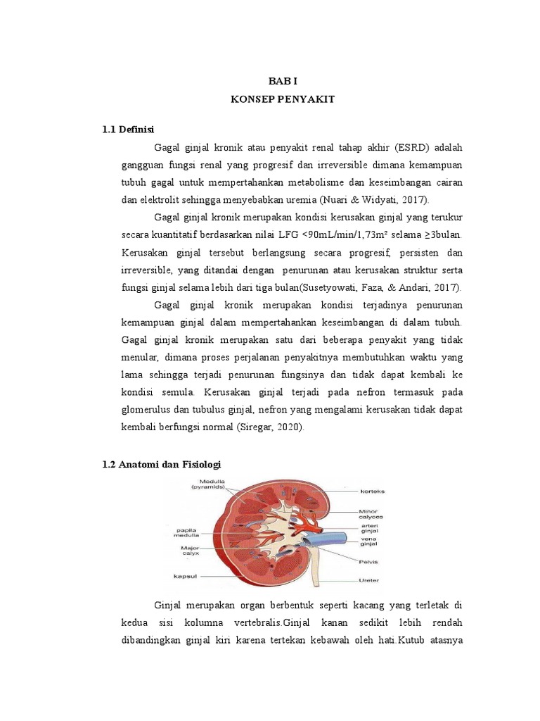 LP CKD | PDF