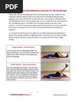 McGill's Core Exercises Guide | PDF | Musculoskeletal System