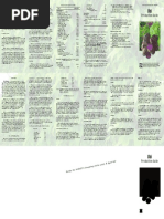 Ube Production Guide | PDF | Mulch | Fertilizer