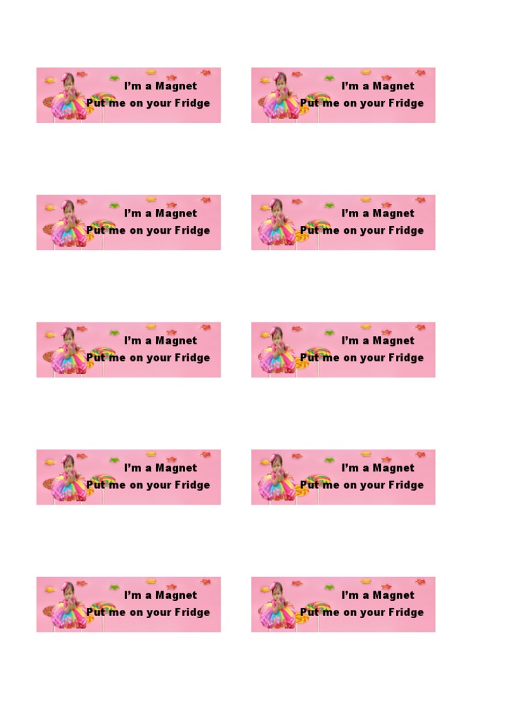 Instructions for Using a Refrigerator Magnet | PDF