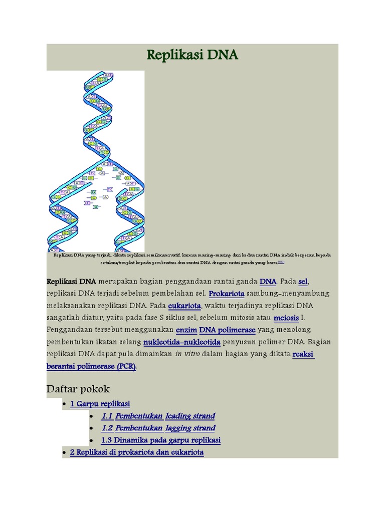 Replikasi DNA: Proses dan Dinamika | PDF | Sains & Matematika