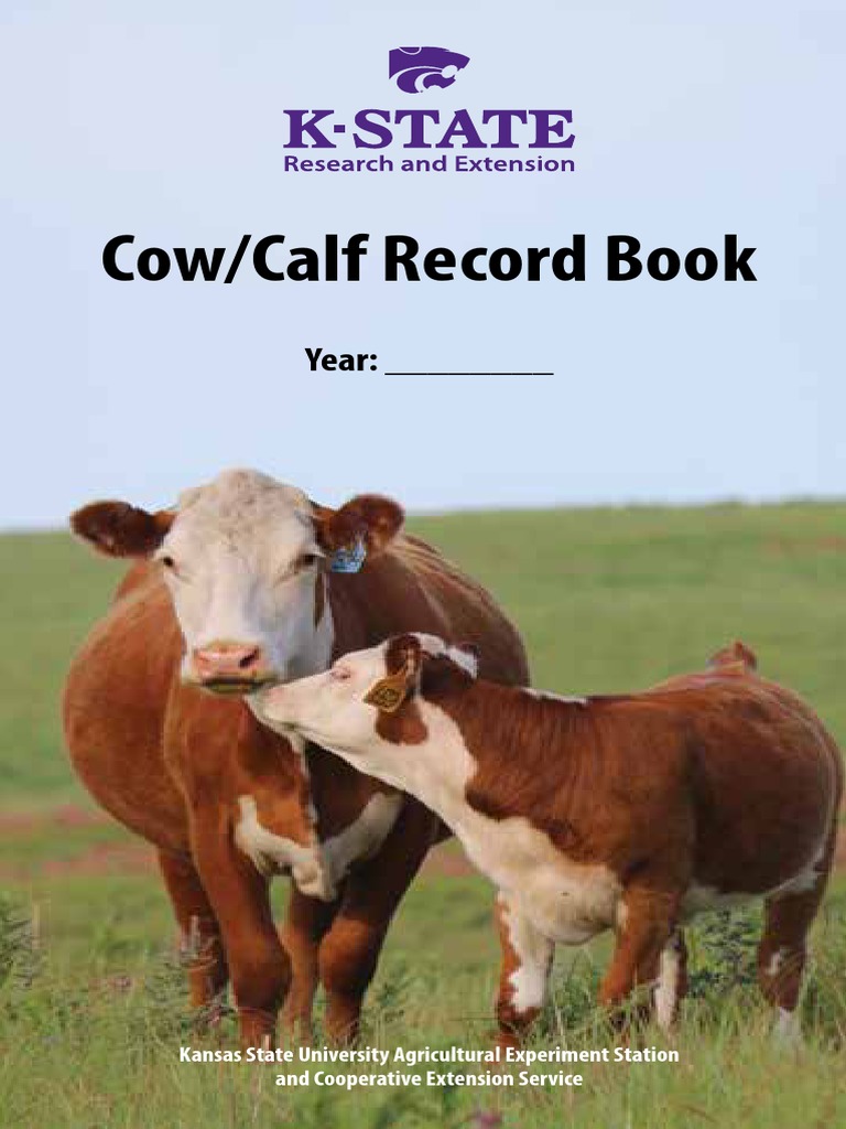 Cow/Calf Record Book: Year | PDF | Calf | Cattle