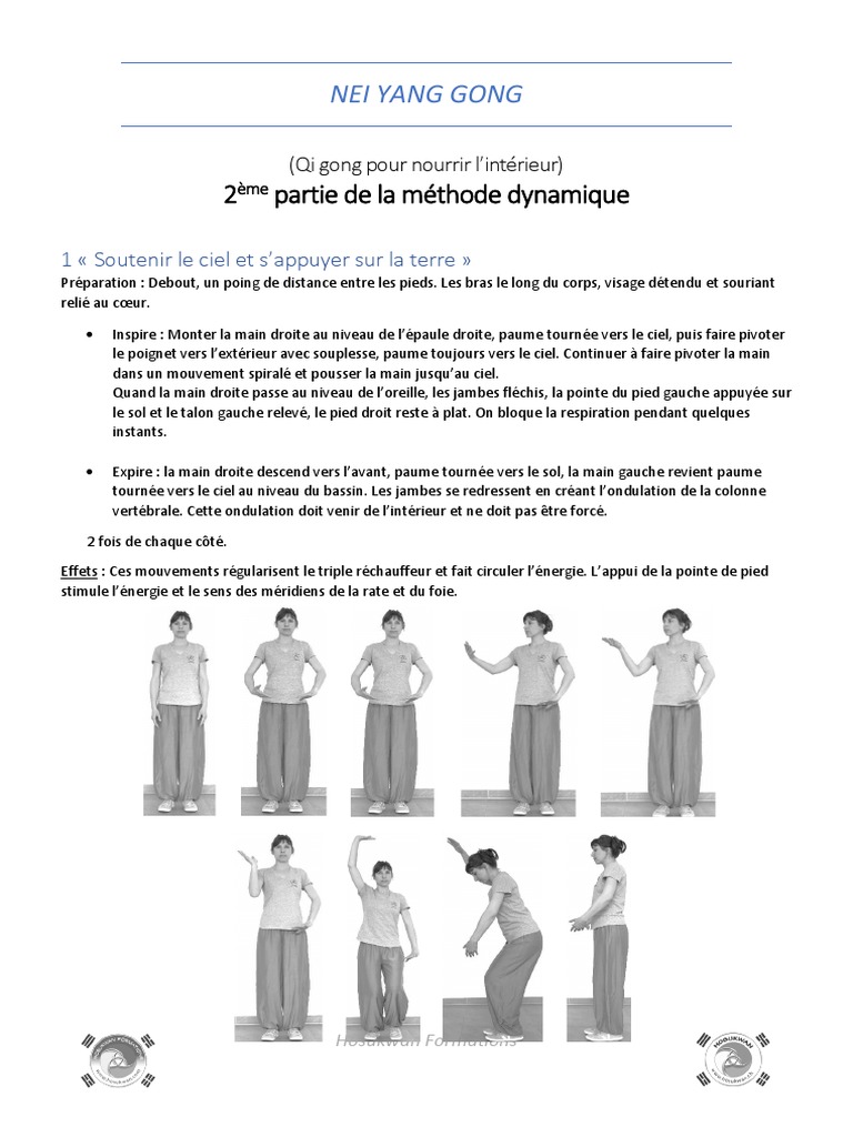 Nei Yang Gong - 2 | PDF | IQ | Pied