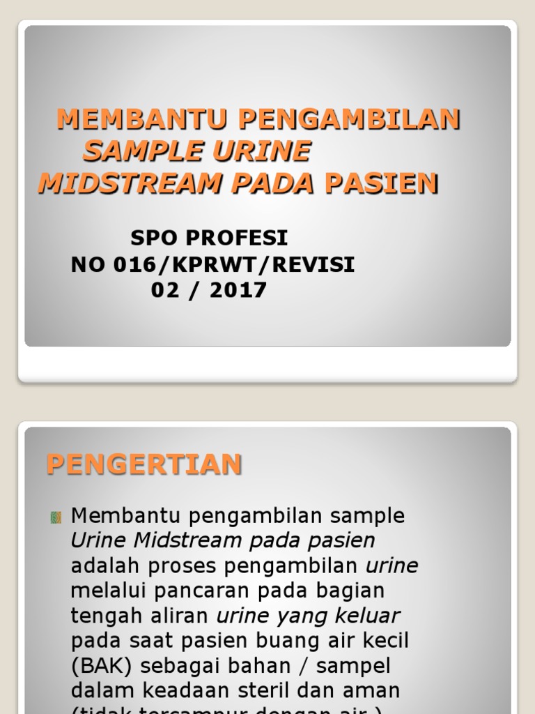 Membantu Pengambilan Sample Urine Midstream Pasien | PDF