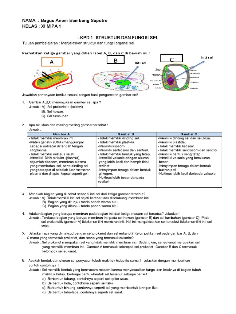 LKPD 1 Struktur Dan Fungsi Sel | PDF