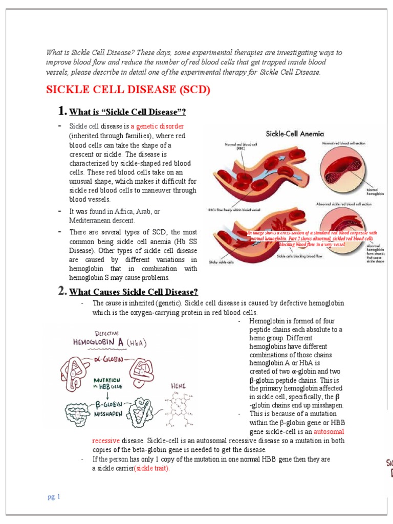 What Is Sickle Cell Disease | PDF | Tissue (Biology) | Medicine