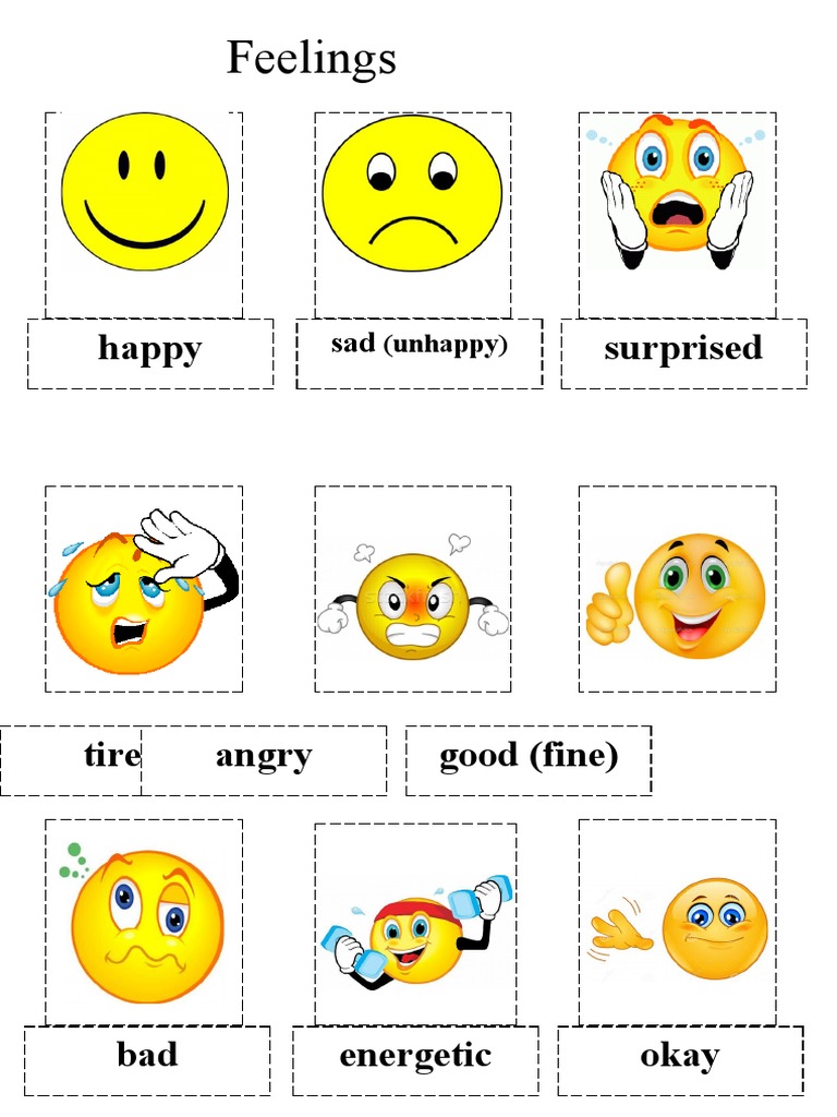 Feelings Pictionary | PDF