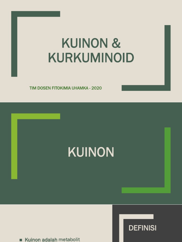 Struktur dan Identifikasi Kuinon | PDF | Sains & Matematika