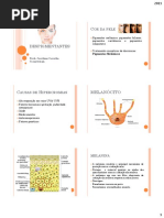 Discromias Cutâneas: Tipos e Causas | PDF | Pele | Sistema tegumentar