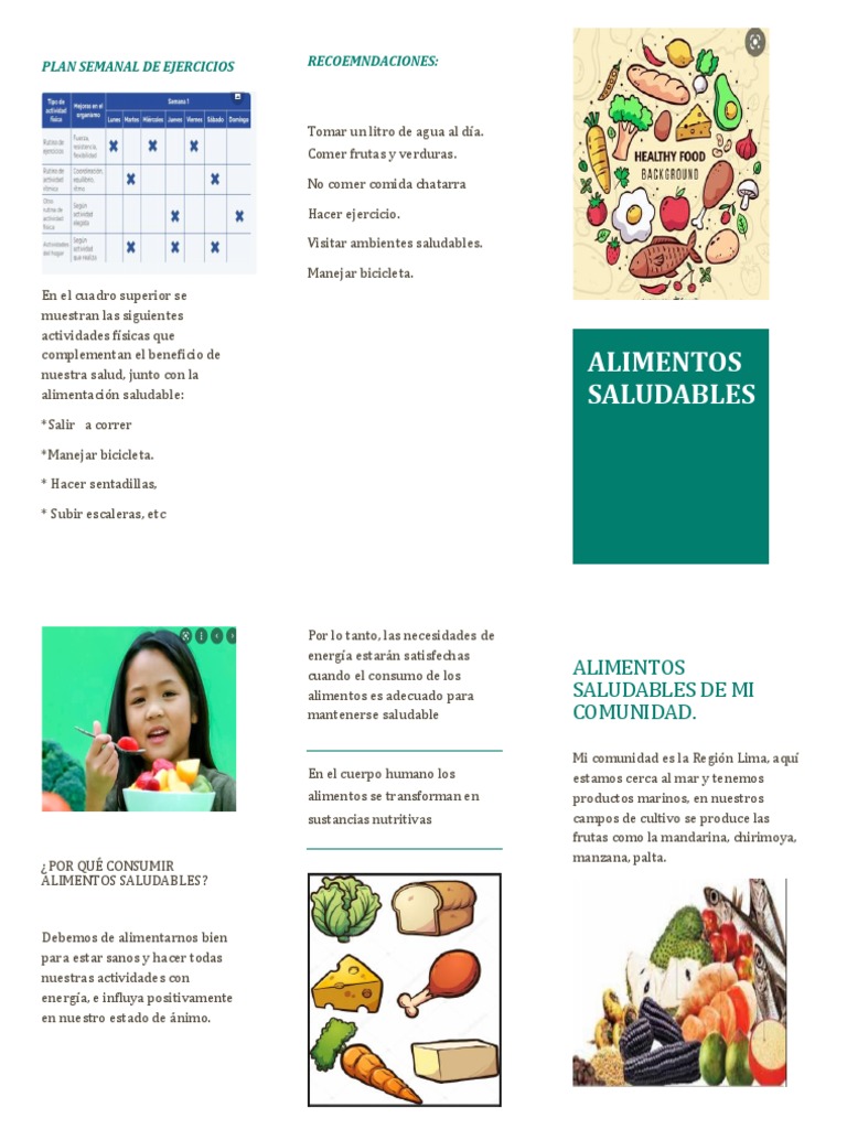 Tríptico Alimentos Saludables | PDF