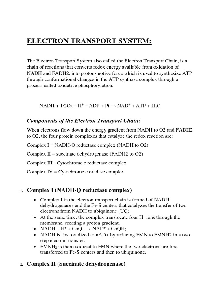 The Four Complexes of the Electron Transport Chain and Their Role in ...