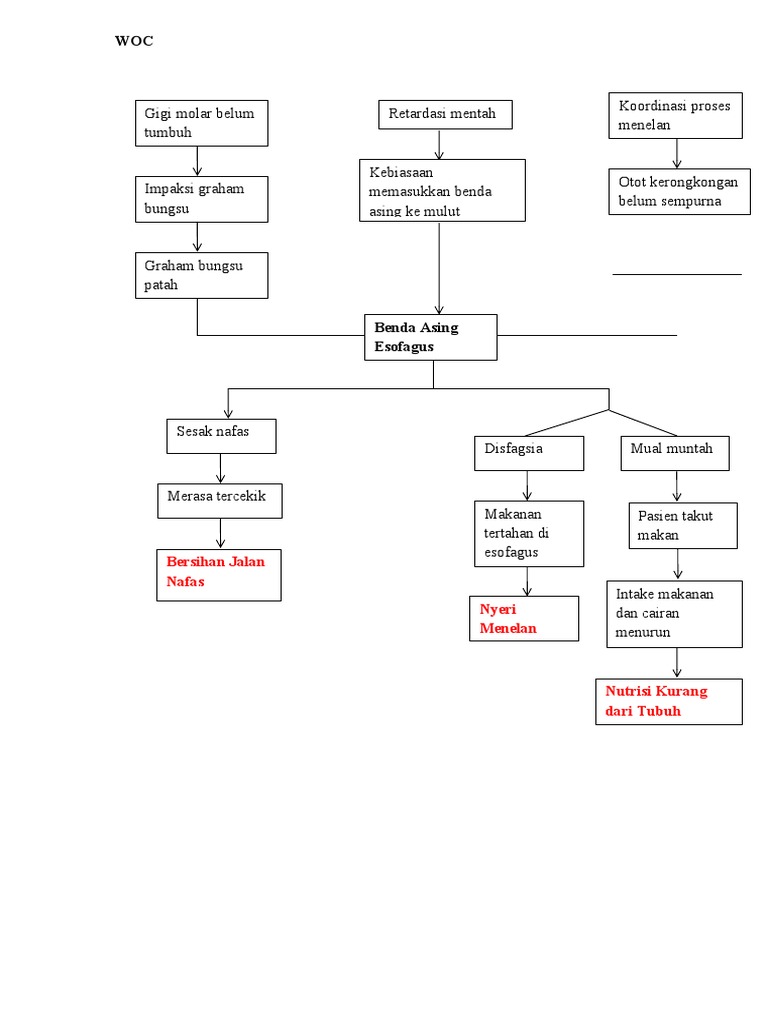 Woc Baru Benda Asing | PDF