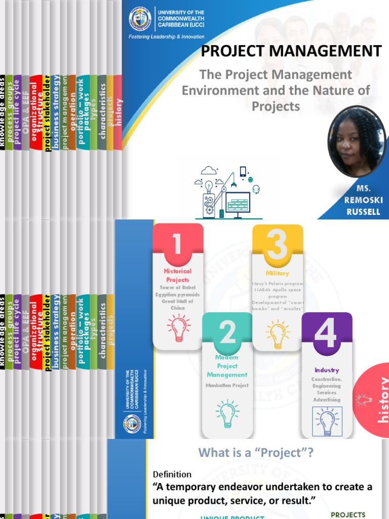 Unit 1 Project Management Environment and The Nature of Projects | PDF ...