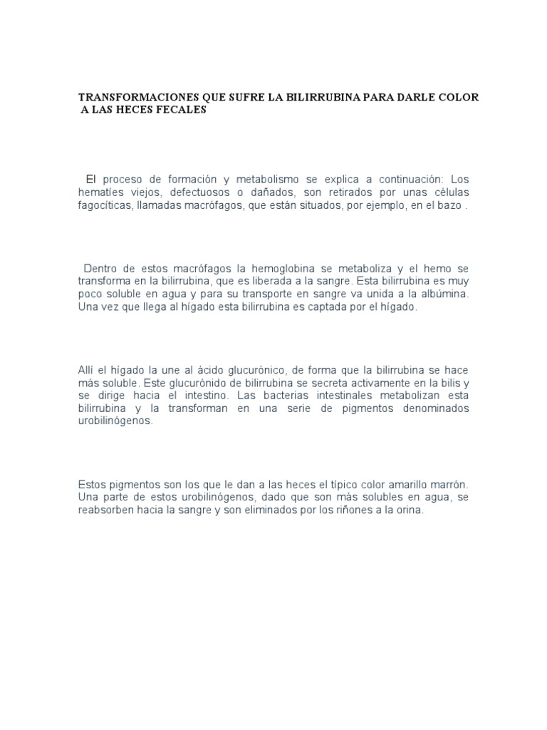 Color de las heces y su significado | PDF | Heces | Sistema digestivo ...