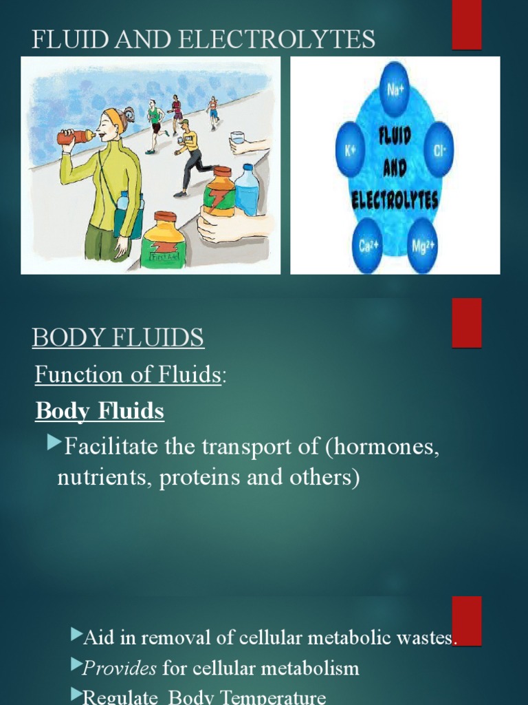 Understanding Body Fluids and Electrolytes | PDF | Homeostasis | Human Body