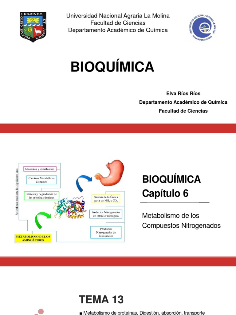 Capitulo 6 - Bioquímica - Parte 1 | PDF | Proteínas | Estructura proteica