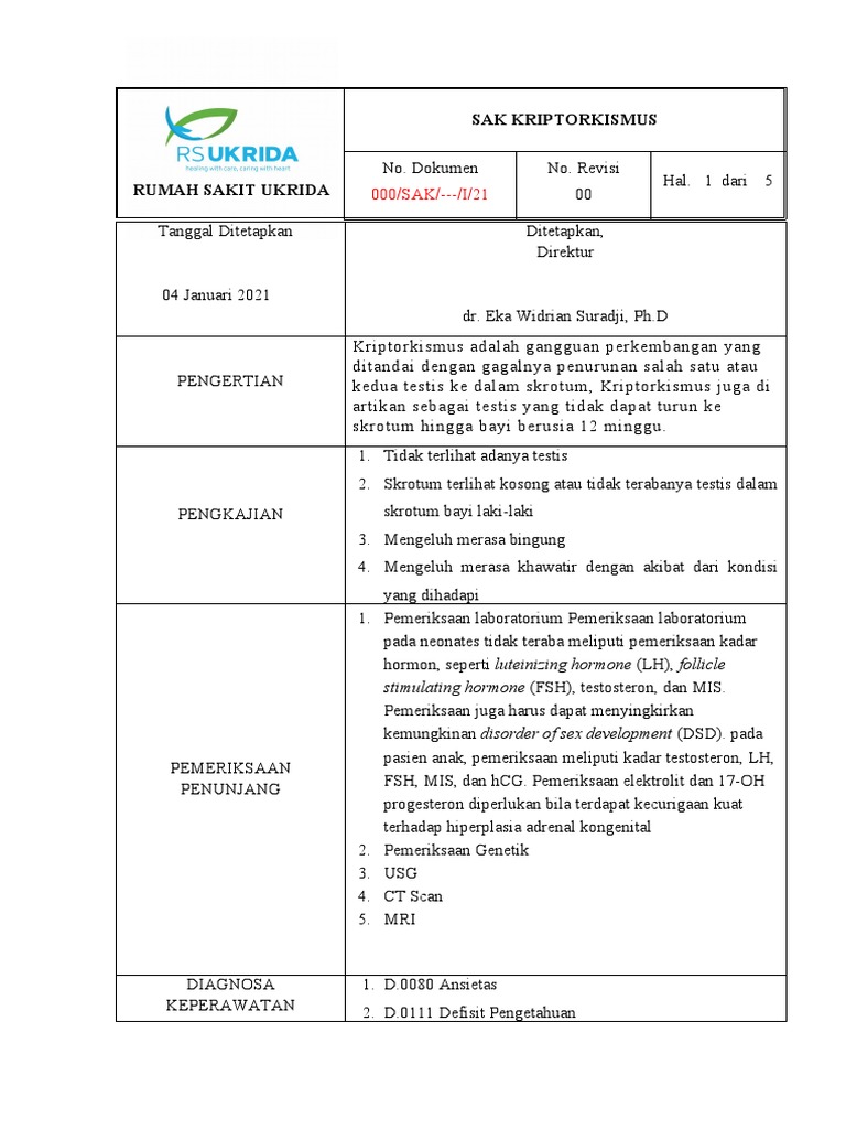 Penanganan Kriptorkismus pada Anak | PDF