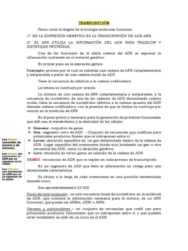 Cap. 5 - Transcripcion | PDF | Rna Splicing | Rna