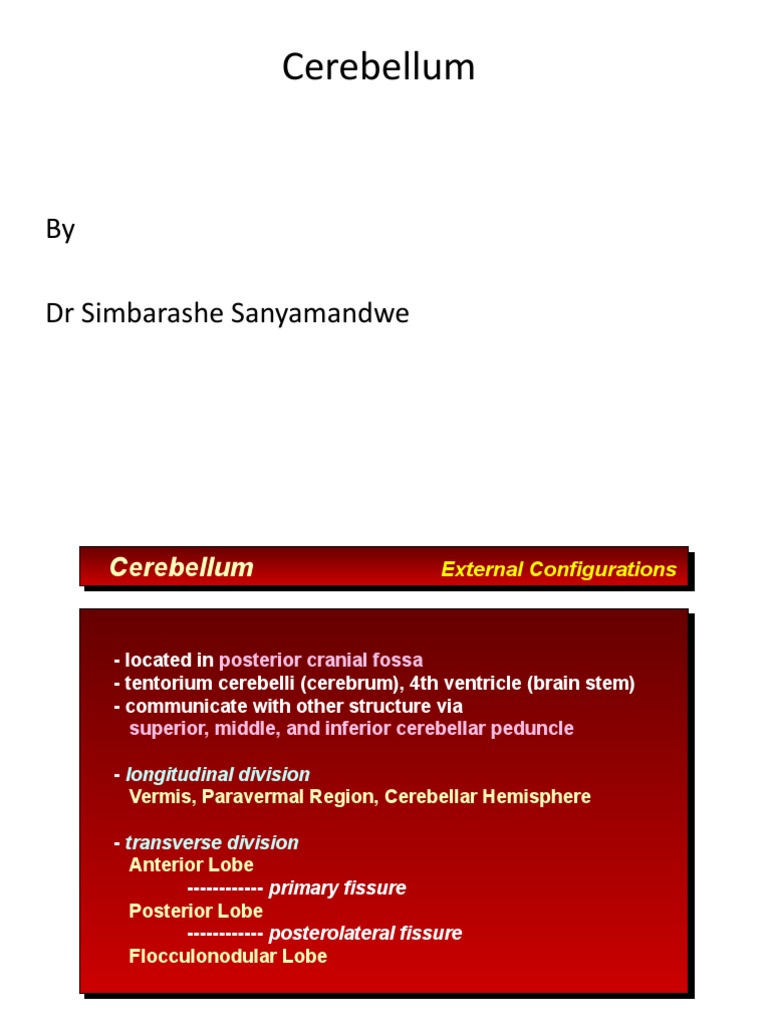 Cerebellum DR Sanyamandwe | PDF | Cerebellum | Neuroscience