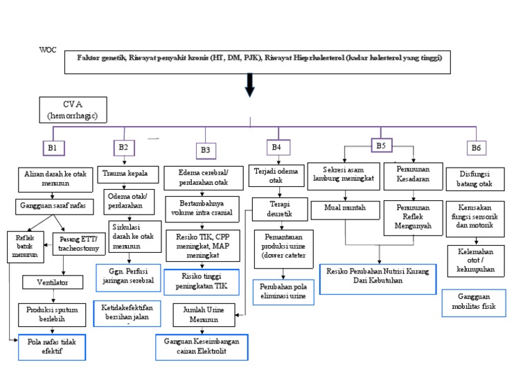Woc Cva Bleeding | PDF