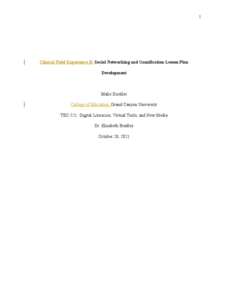 Social Networking and Gamification Lesson Plan Development 1 ...