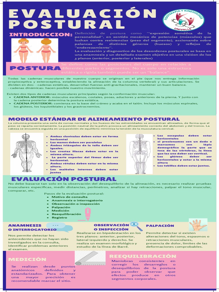 Infografia Evaluacion Postural | PDF | La columna vertebral | Músculo