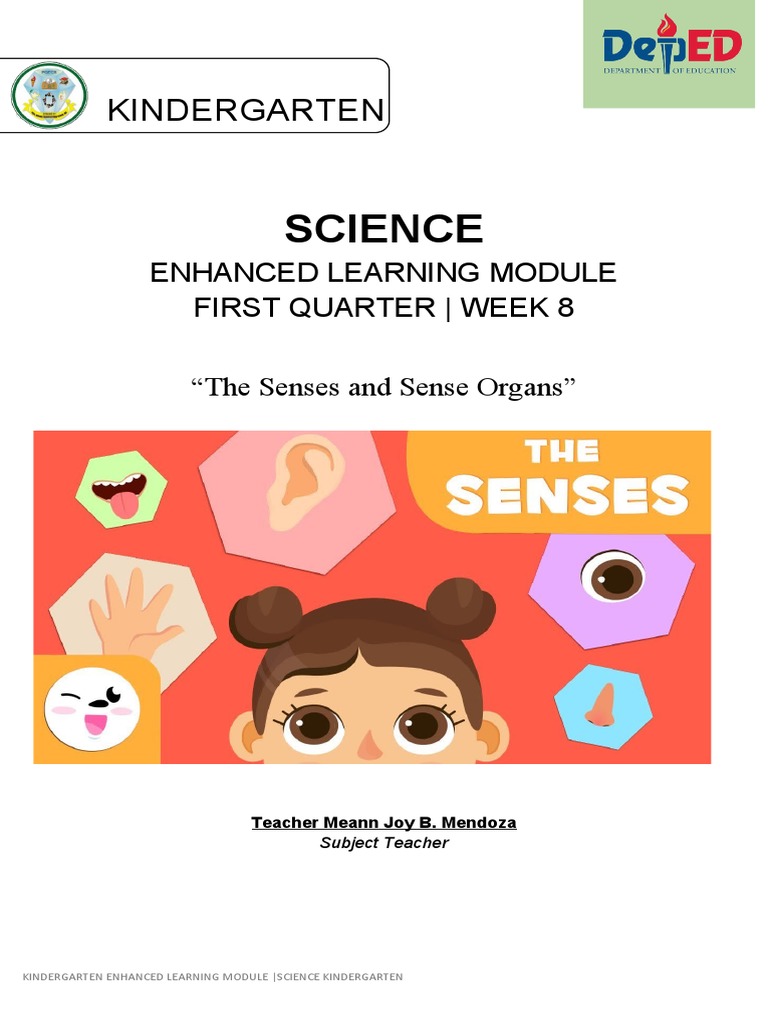 Sample Kindergarten Module | PDF | Taste | Learning