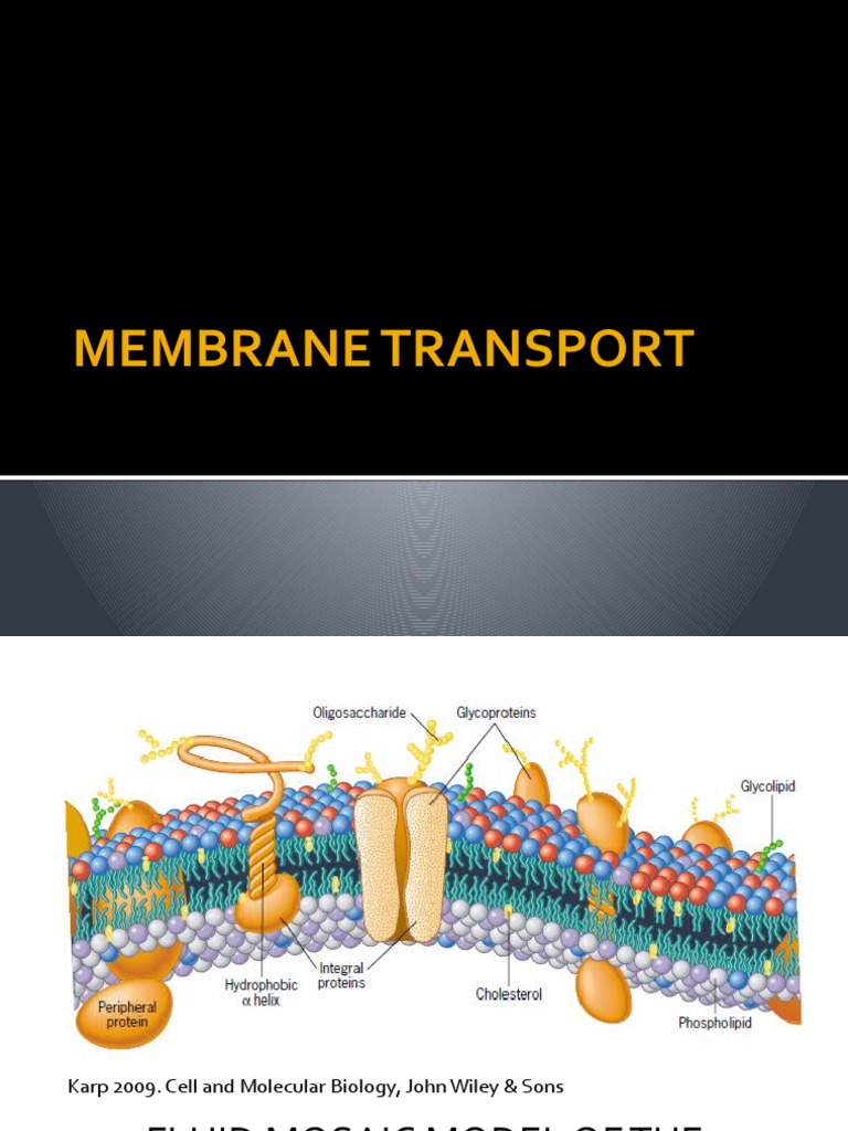 Membrane Transport (Module 3) | PDF | Cell Membrane | Osmosis