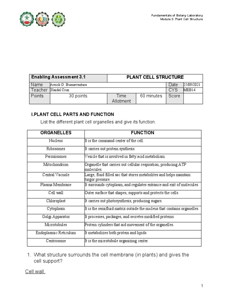 Enabling Assessment 3.1 Plant Cell Structure | PDF | Cell (Biology ...