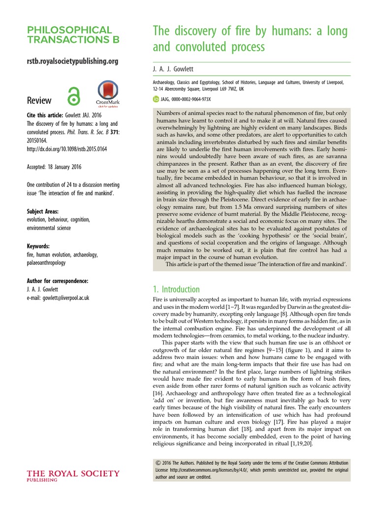 The Long, Convoluted Discovery of Fire by Early Humans | PDF | Ape | Human