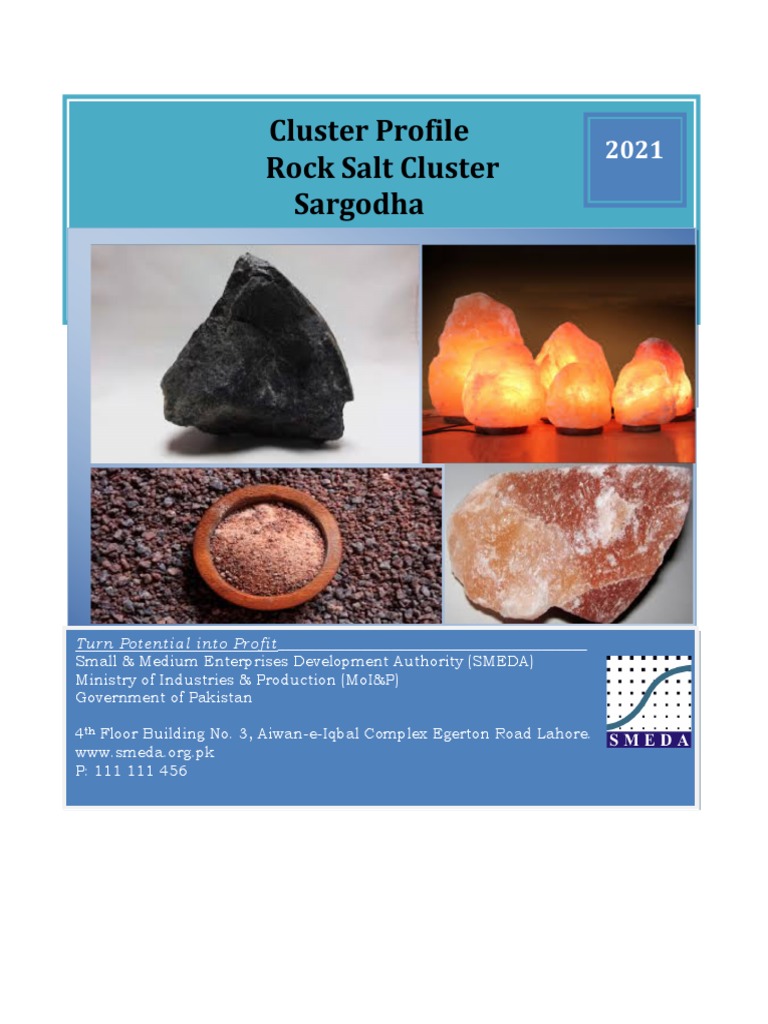 Analysis of the Rock Salt Cluster in Sargodha: Products, Actors ...