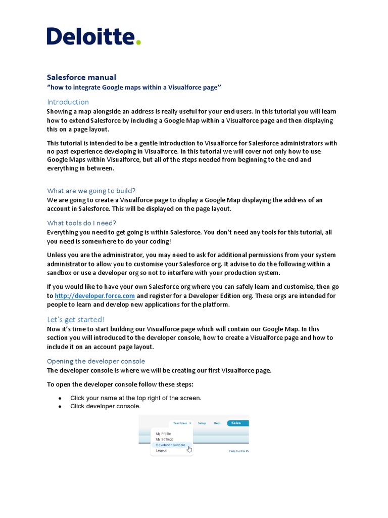 Deloitte NL Academy Salesforce Manual | PDF