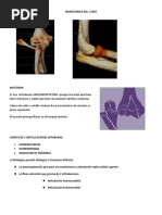 Fracturas Del Codo, Apofisis Coronoides, Troclea | PDF | Codo ...