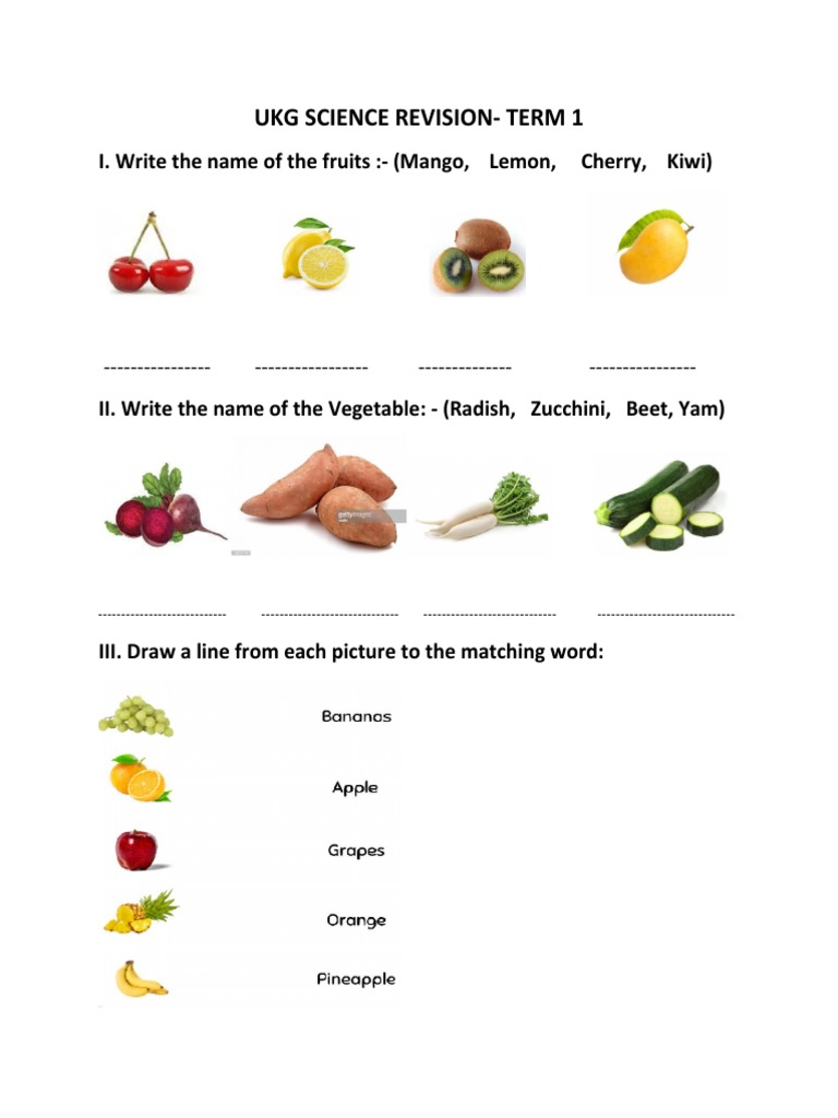 UKG SCIENCE REVISION-Term 1 | PDF